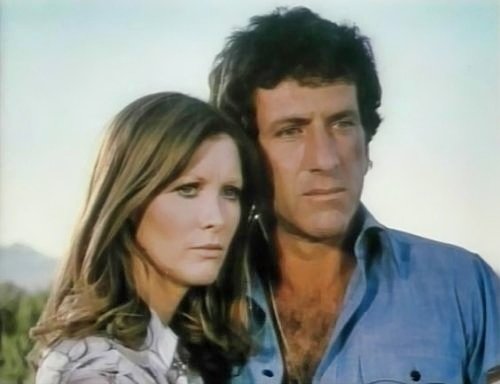 Petrocelli | Television Heaven