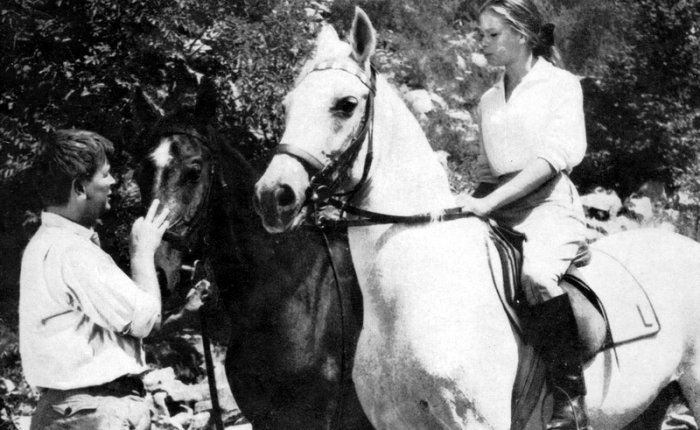 The White Horses | Television Heaven