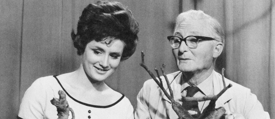 Take Hart | Television Heaven