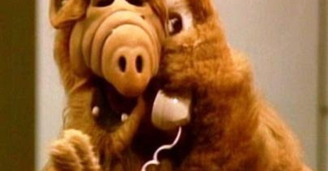 Alf | Television Heaven