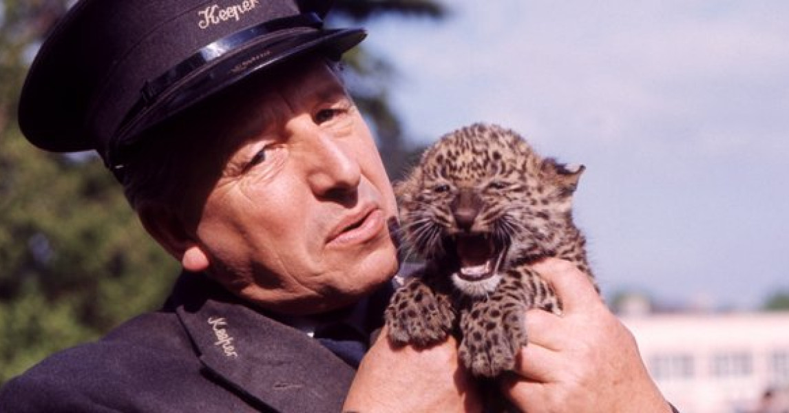 Animal Magic | Television Heaven