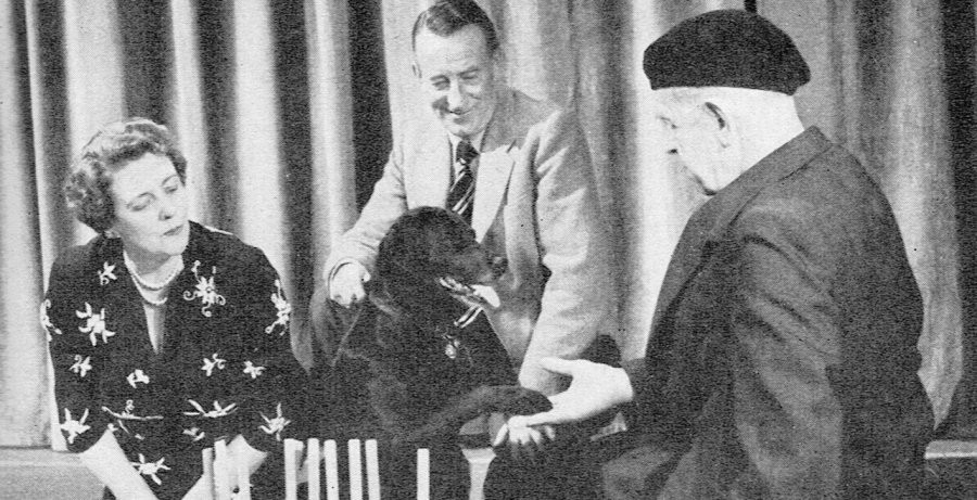 Ask Pickles | Television Heaven