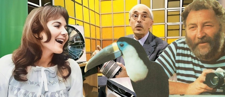 Don't Ask Me | Television Heaven