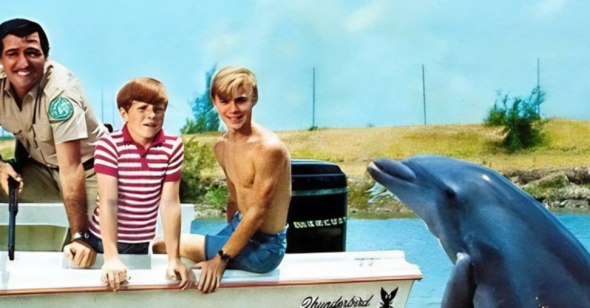 Flipper | Television Heaven