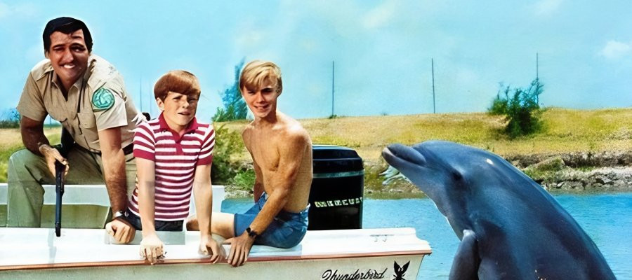 Flipper | Television Heaven