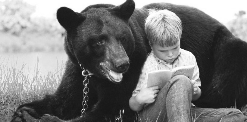 Gentle Ben | Television Heaven