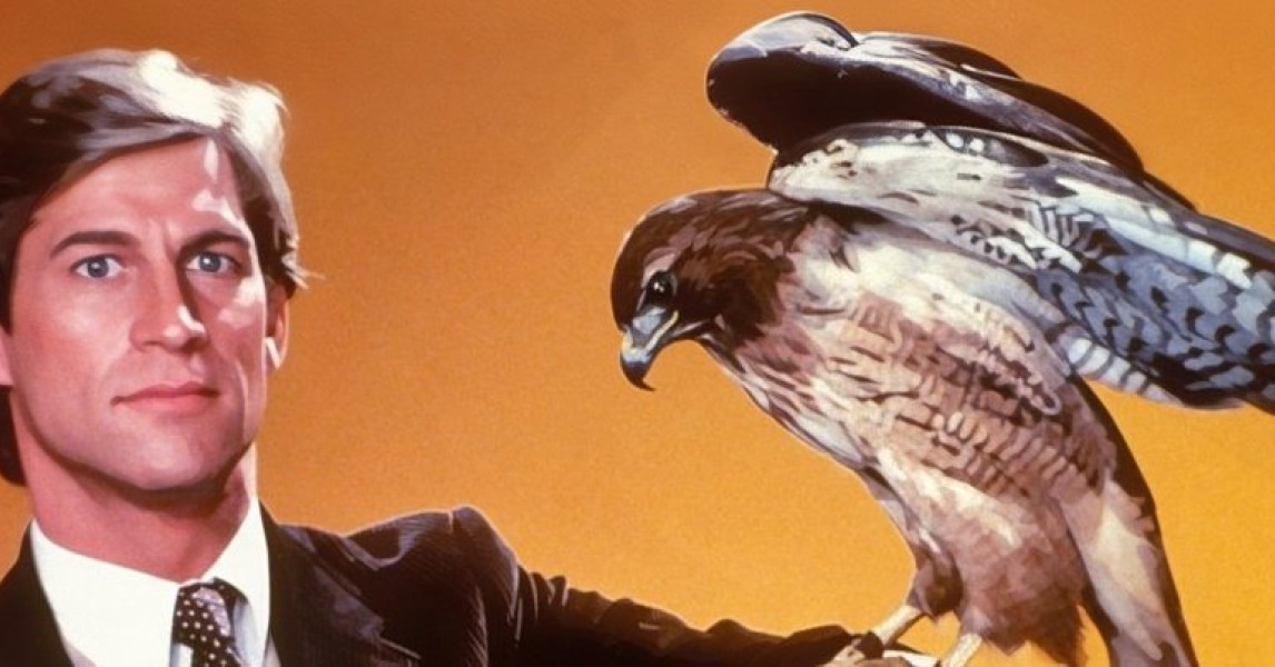 Manimal | Television Heaven