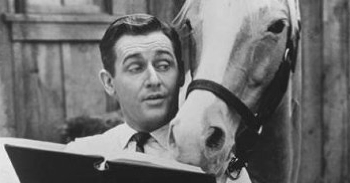 Mister Ed | Television Heaven