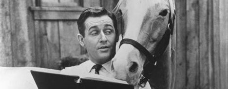 Mister Ed | Television Heaven