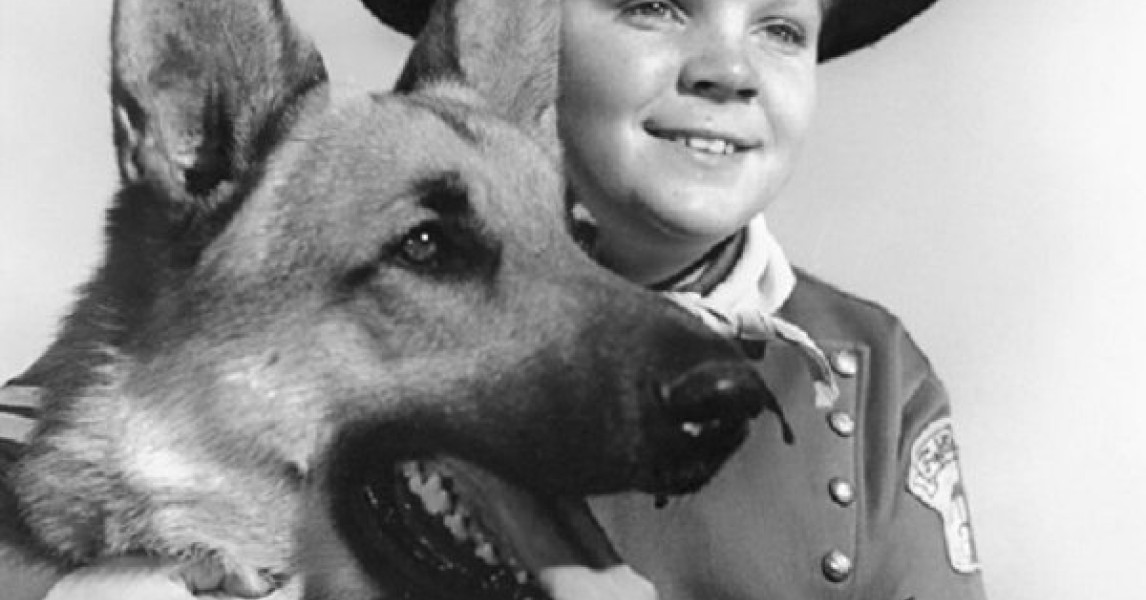 The Adventures of Rin Tin Tin | Television Heaven