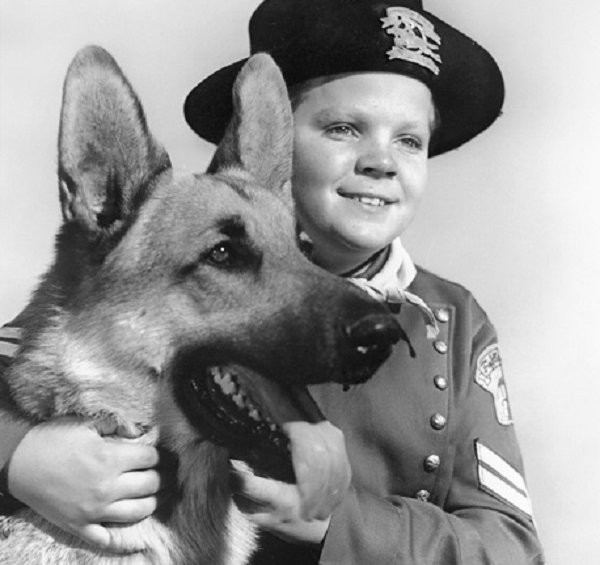 The Adventures of Rin Tin Tin | Television Heaven