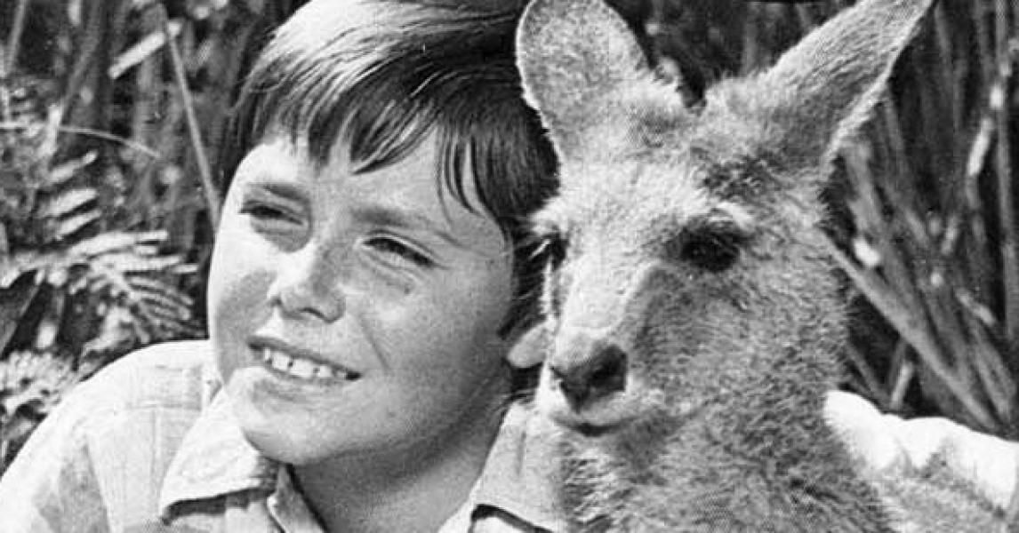 Skippy the Bush Kangaroo | Television Heaven