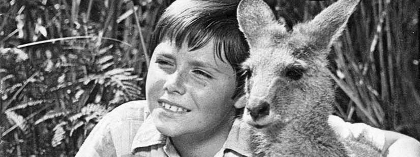 Skippy the Bush Kangaroo | Television Heaven