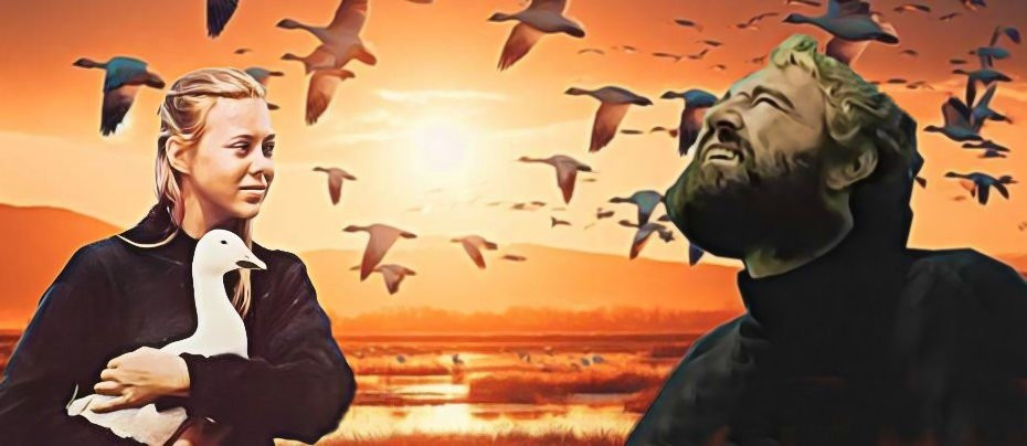 The Snow Goose | Television Heaven