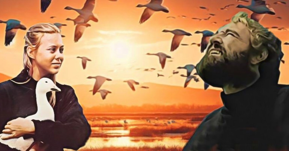 The Snow Goose | Television Heaven