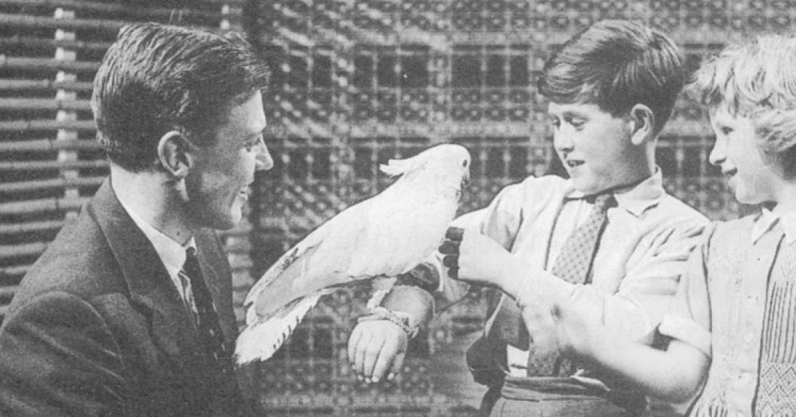 Studio E | Television Heaven