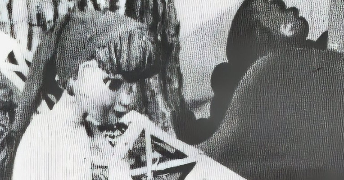 The Adventures of Twizzle | Television Heaven