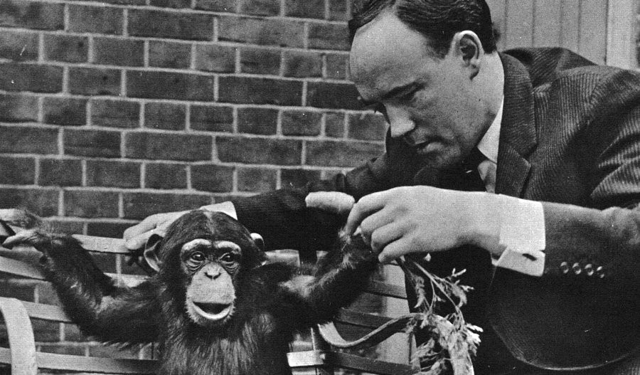 Zoo Time | Television Heaven